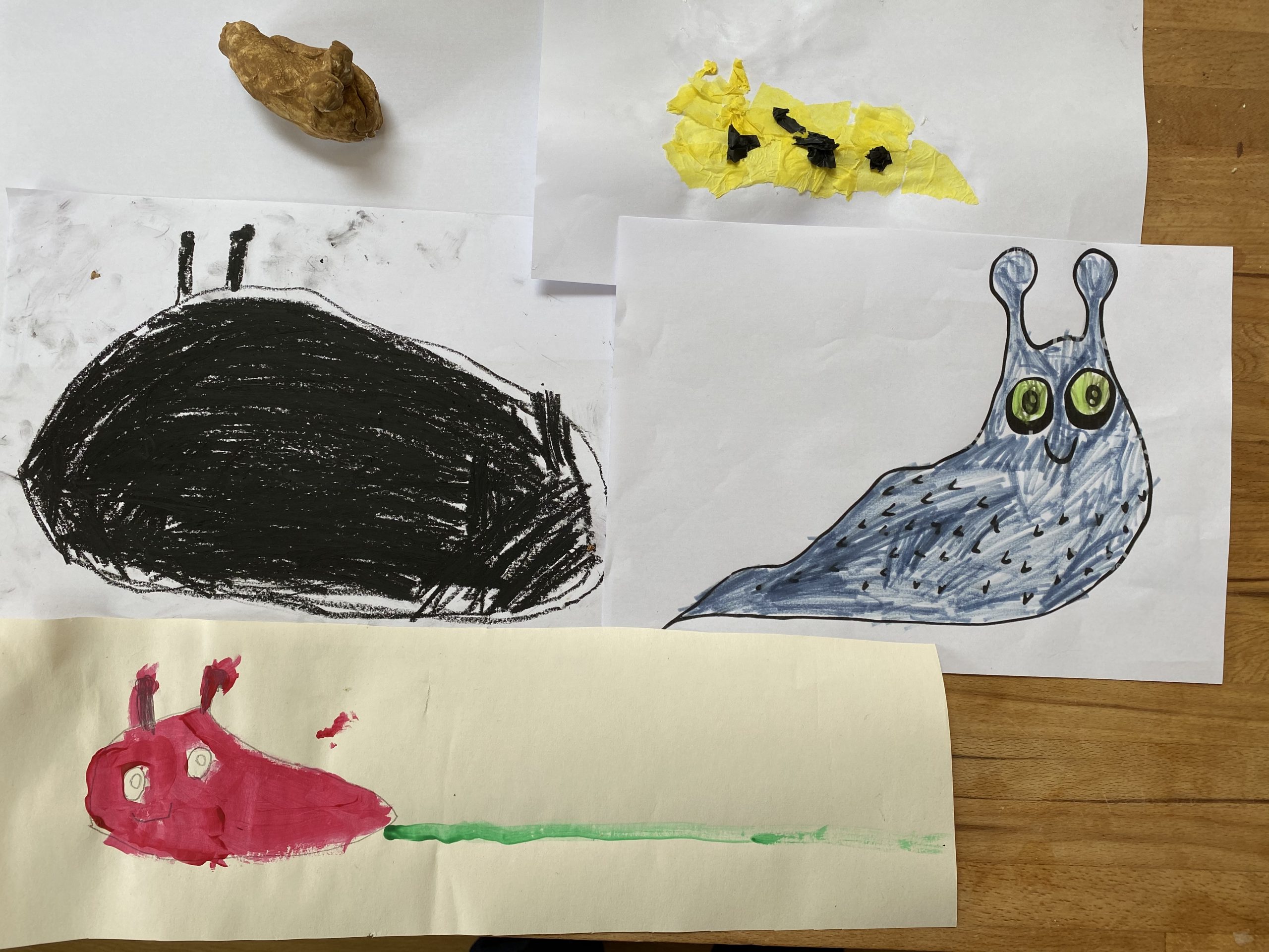 Nature Art Contest - Sustainable Warminster