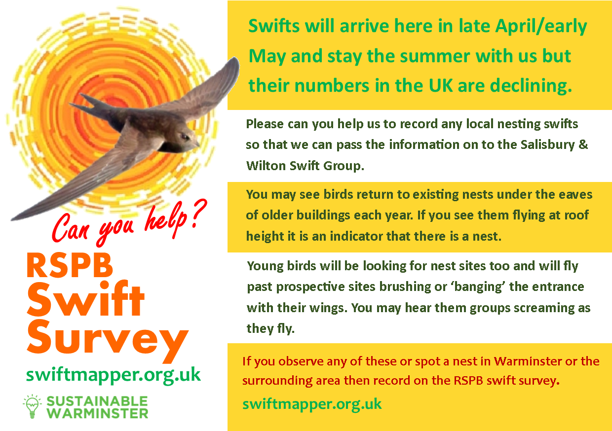 Swifts are Back! - Sustainable Warminster